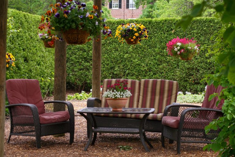 How to Set Up Your Garden for Socialising - Outdoor Options